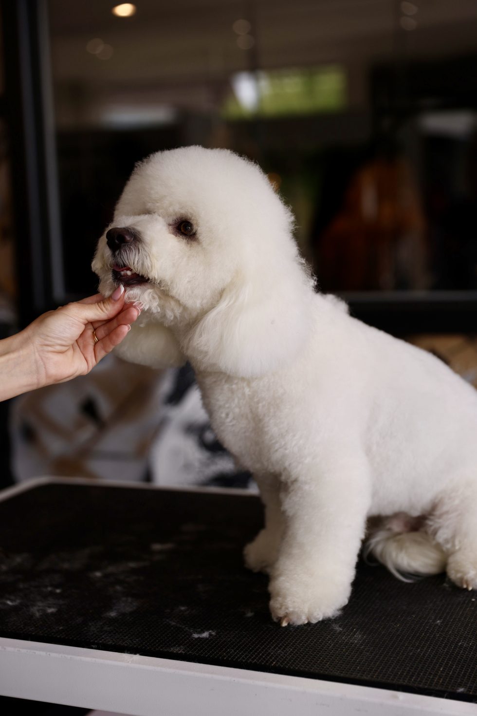 Home Page - Mucky Pups